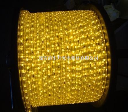 2 wires yellow LED rope light-瑞安市东升光电科技有限公司